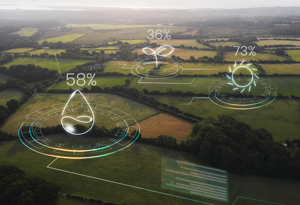 Développer une stratégie RSE efficace pour votre entreprise